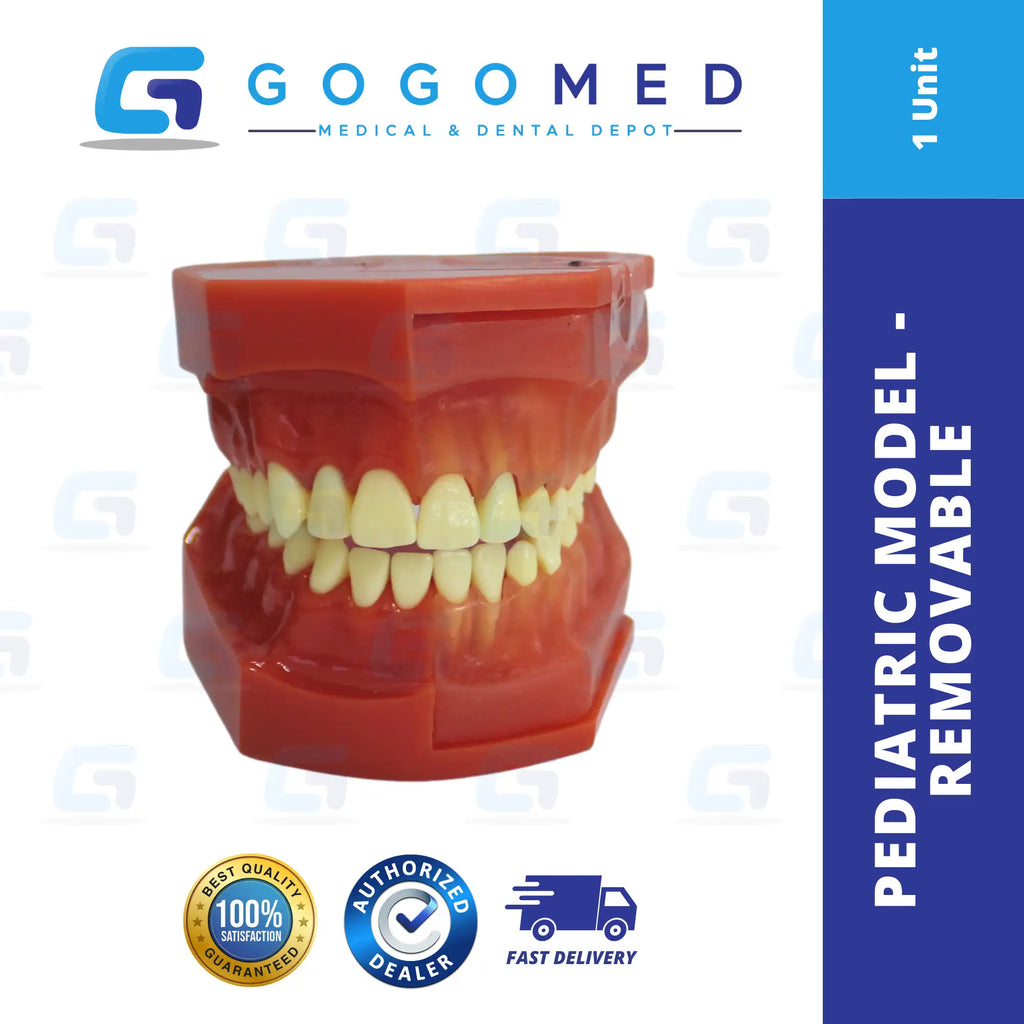 Pediatric Model Removable – Gogomed Supplies